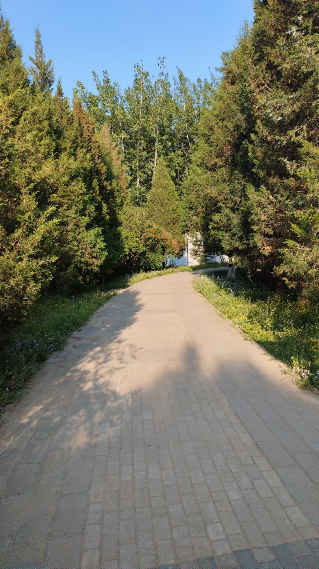 路_SIBER-站酷ZCOOL