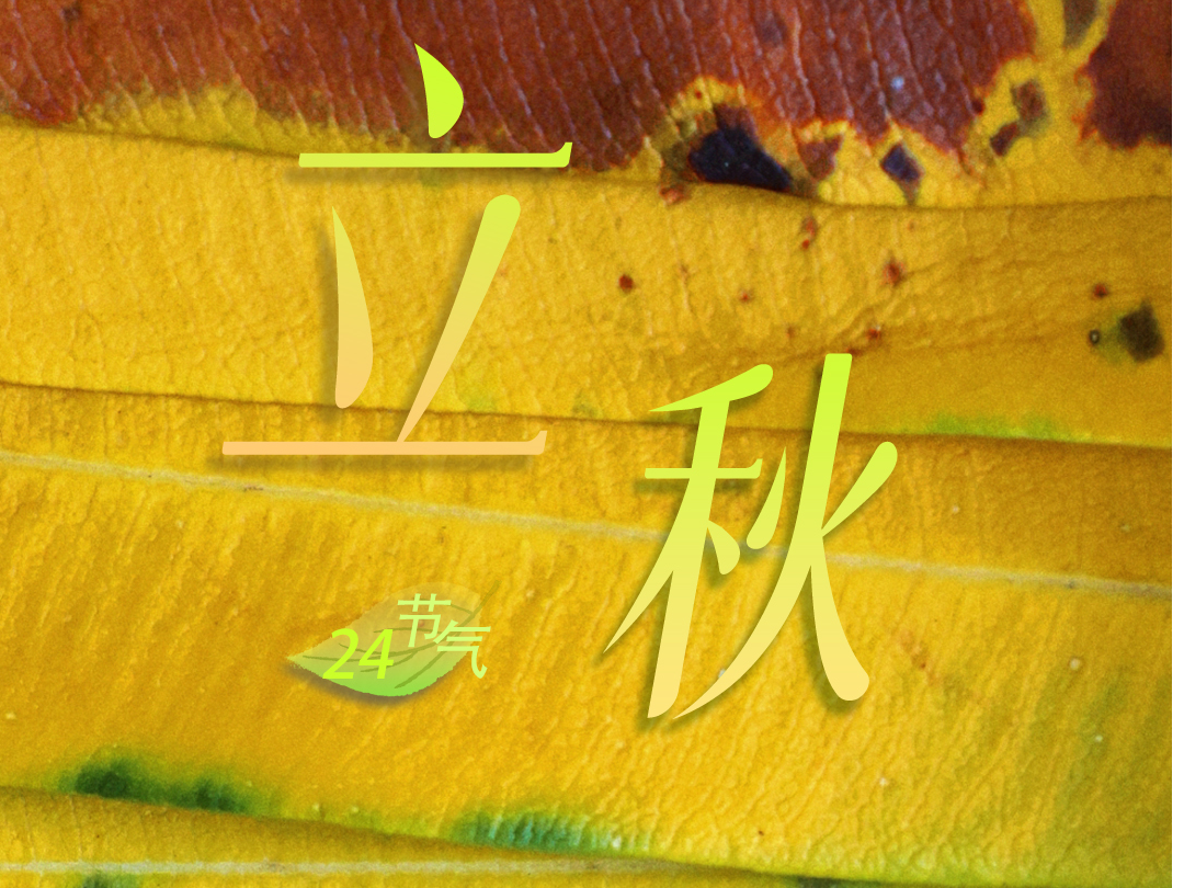 立秋海报组图_HQQQQY_-站酷ZCOOL