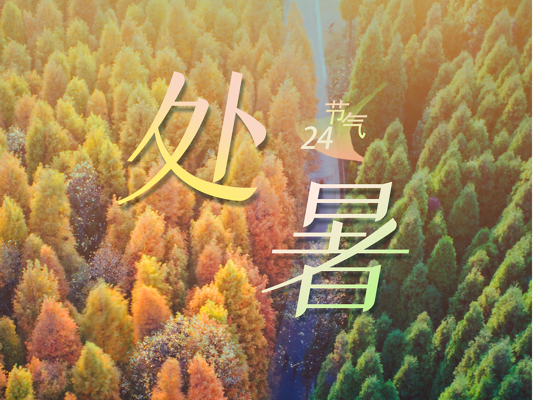 处暑系列组图_HQQQQY_-站酷ZCOOL