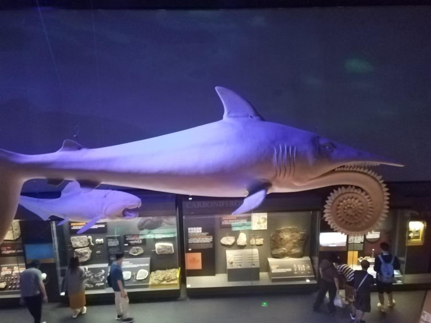 19_SIBER-站酷ZCOOL