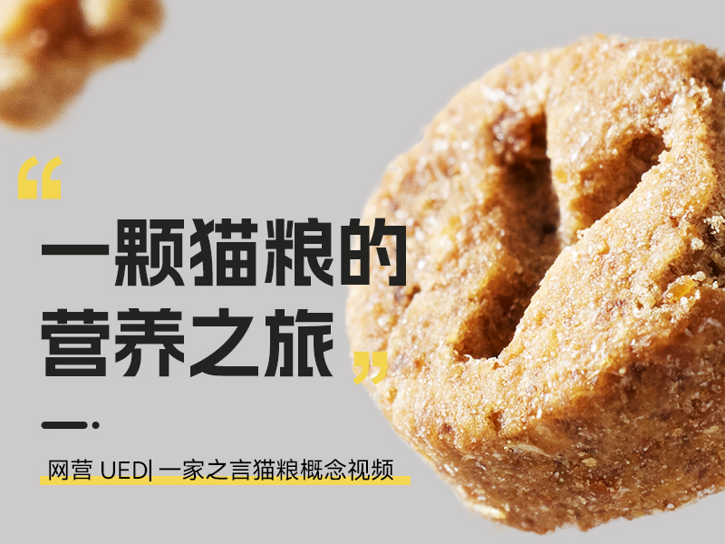 [NETOPS|UED]一家之言猫粮概念视频_wy_ued-站酷ZCOOL