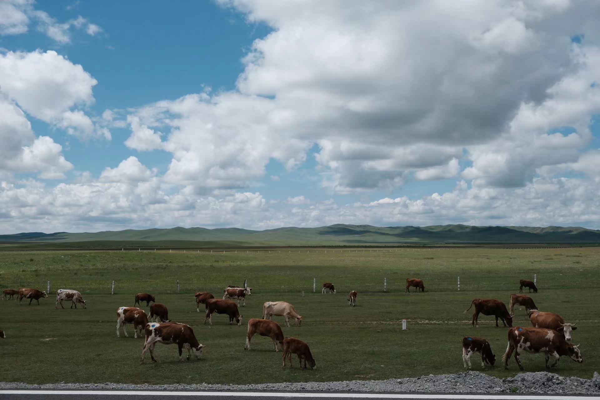 天空与草原_haha嘻嘻-站酷ZCOOL