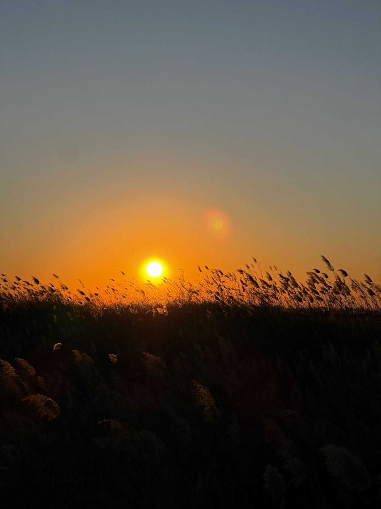 天空与草原_haha嘻嘻-站酷ZCOOL