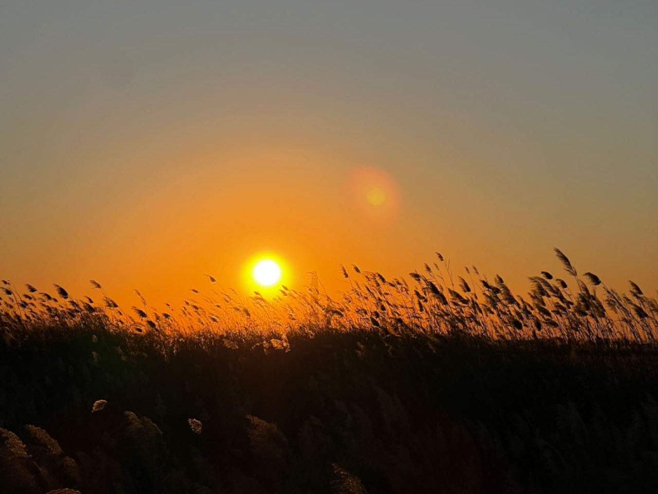 落日_huatian1-站酷ZCOOL