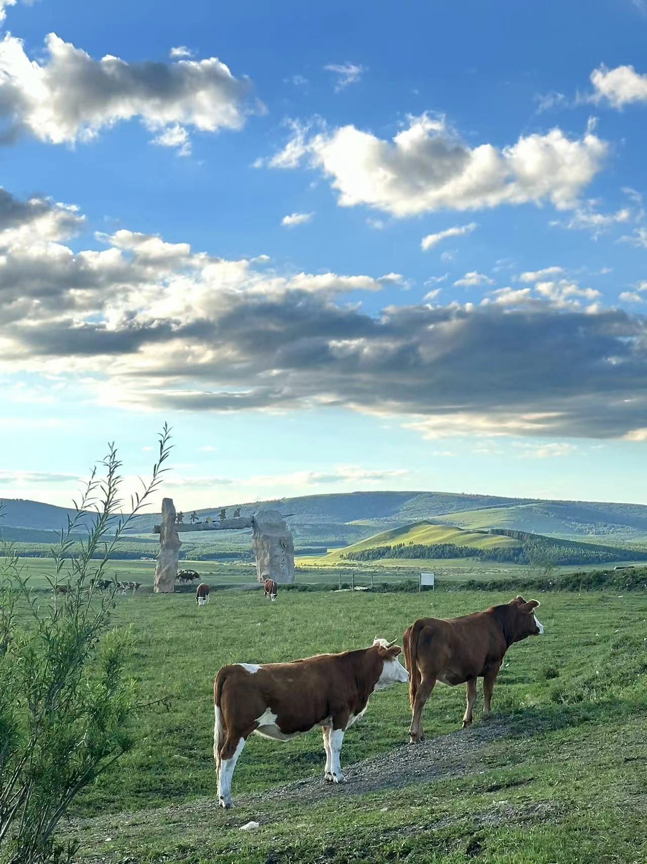 草原天空_haha嘻嘻-站酷ZCOOL