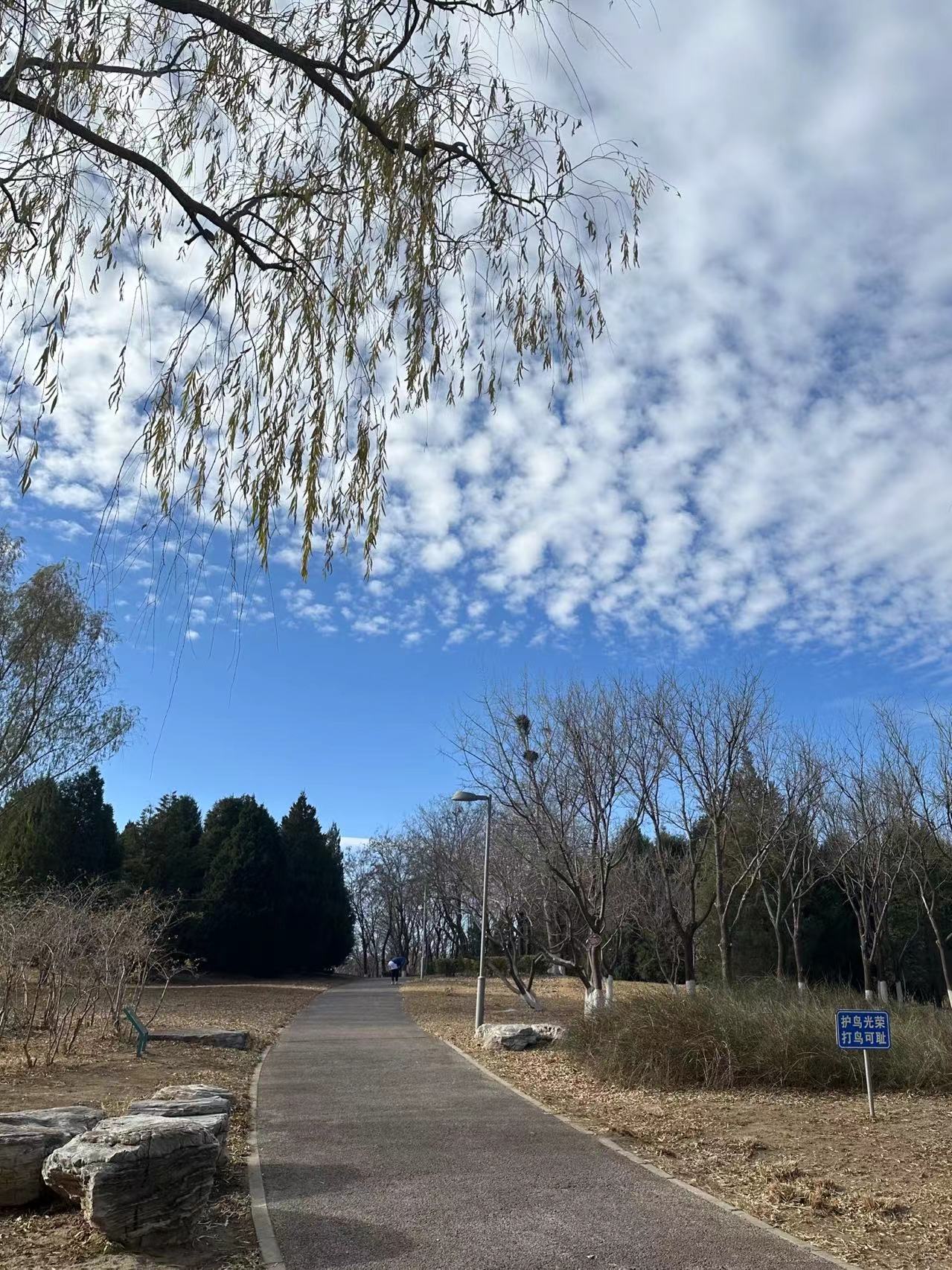 小路_haha嘻嘻-站酷ZCOOL