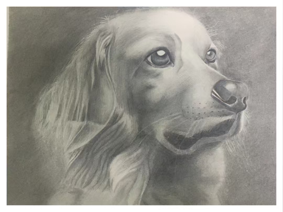 素描的魅力_小李收刀-站酷ZCOOL