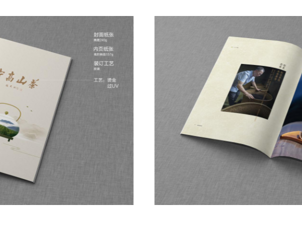 画册设计，杂志设计，接私_大_青年-站酷ZCOOL