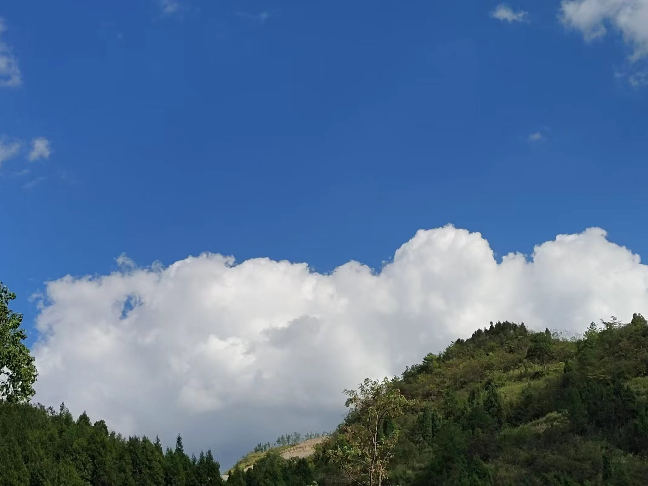 视频剪辑_酷cen-站酷ZCOOL