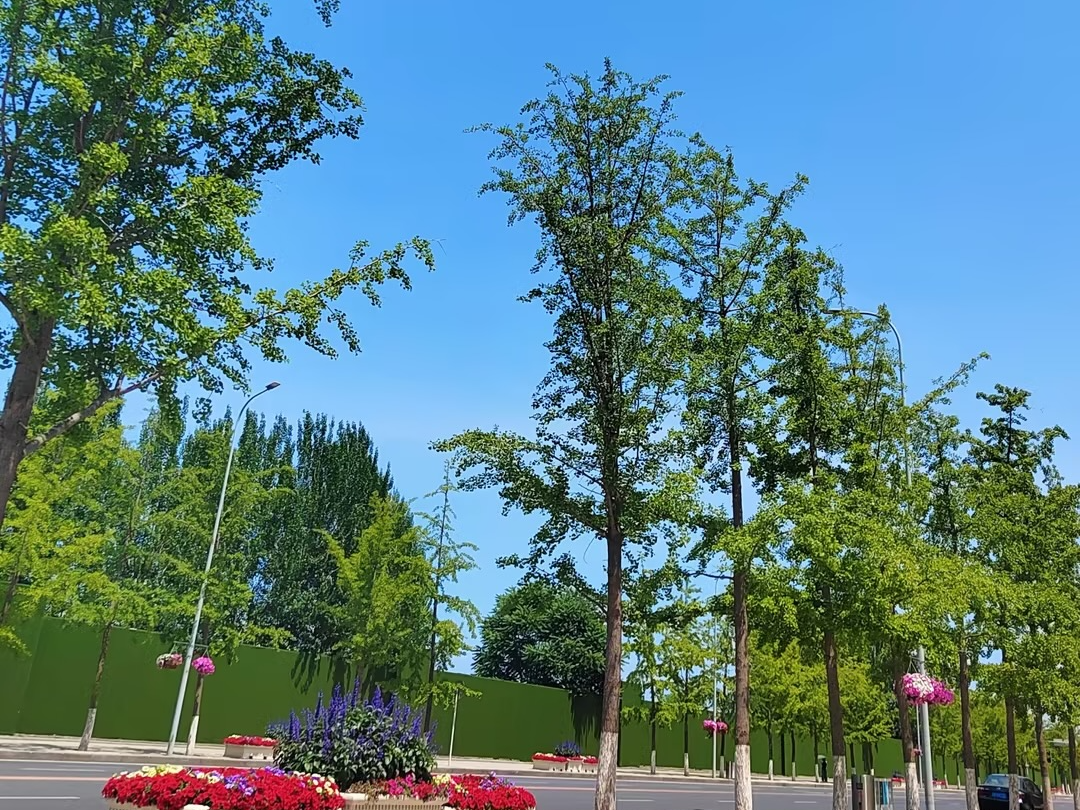 我爱摄影106_这个山就巡到这了-站酷ZCOOL