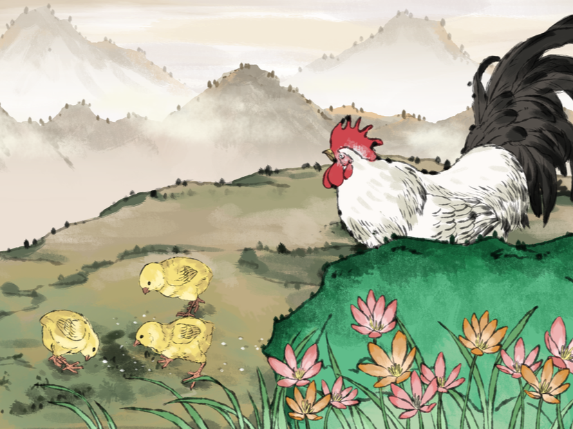 画鸡_阊阖-站酷ZCOOL