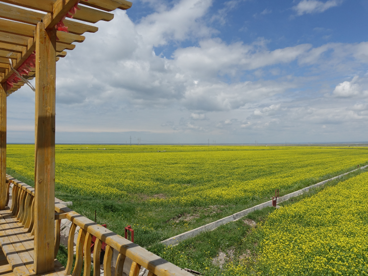 摄影作品分享-11_KK熊君-站酷ZCOOL