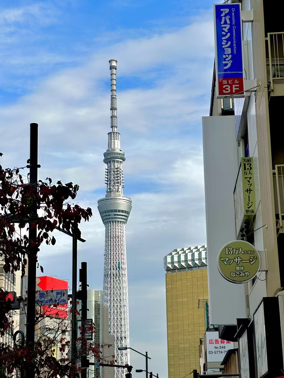 13_SIBER-站酷ZCOOL