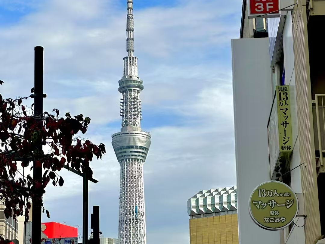 13_SIBER-站酷ZCOOL