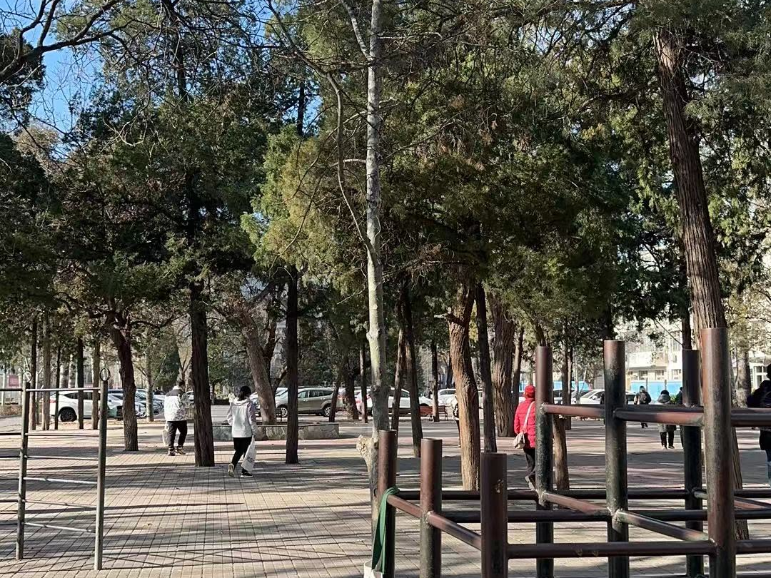 散步_小狮纸cool-站酷ZCOOL