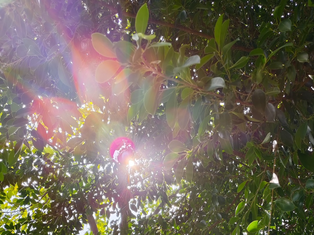 摄影-阳光的形状2_cucu_J-站酷ZCOOL