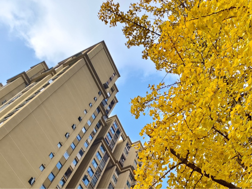 摄影-秋季的颜色2_cucu_J-站酷ZCOOL