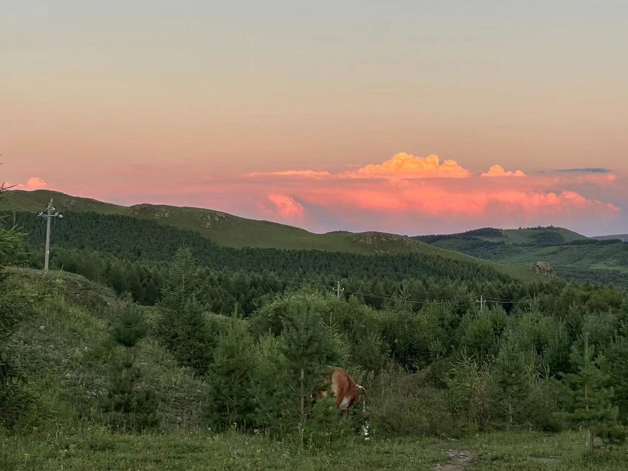 彩霞_haha嘻嘻-站酷ZCOOL