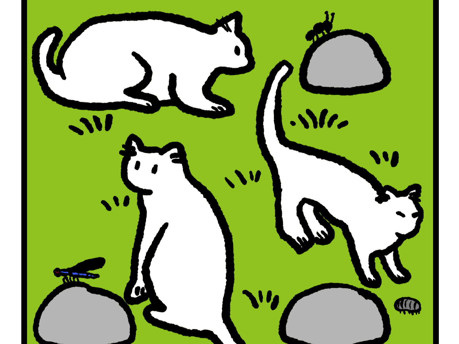 小猫日常_猫柚子-站酷ZCOOL