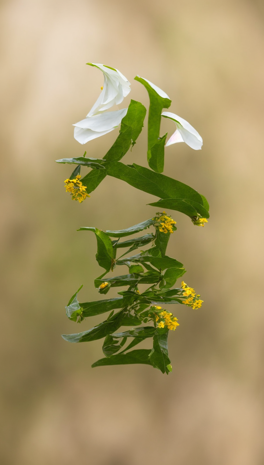 Stable Diffusion创意字体海报_懒懒的蚊子-站酷ZCOOL