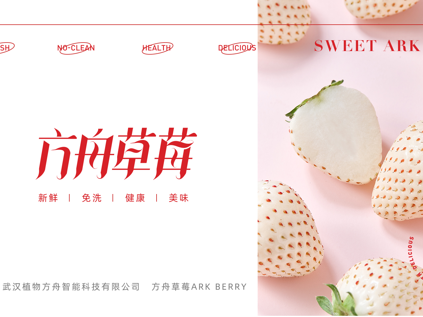 ark berry 草莓品牌VIS _Antoniowoo-站酷ZCOOL