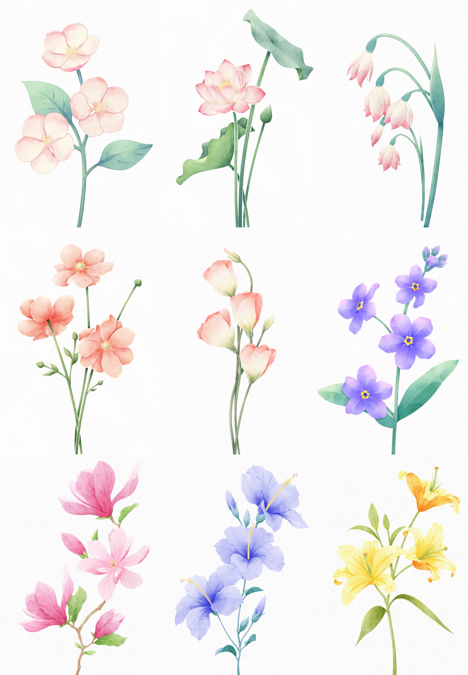 水彩花花合集_sikkkkky-站酷ZCOOL