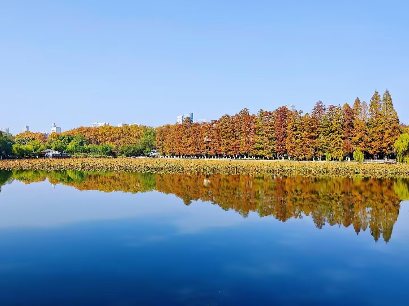 我爱摄影133_这个山就巡到这了-站酷ZCOOL