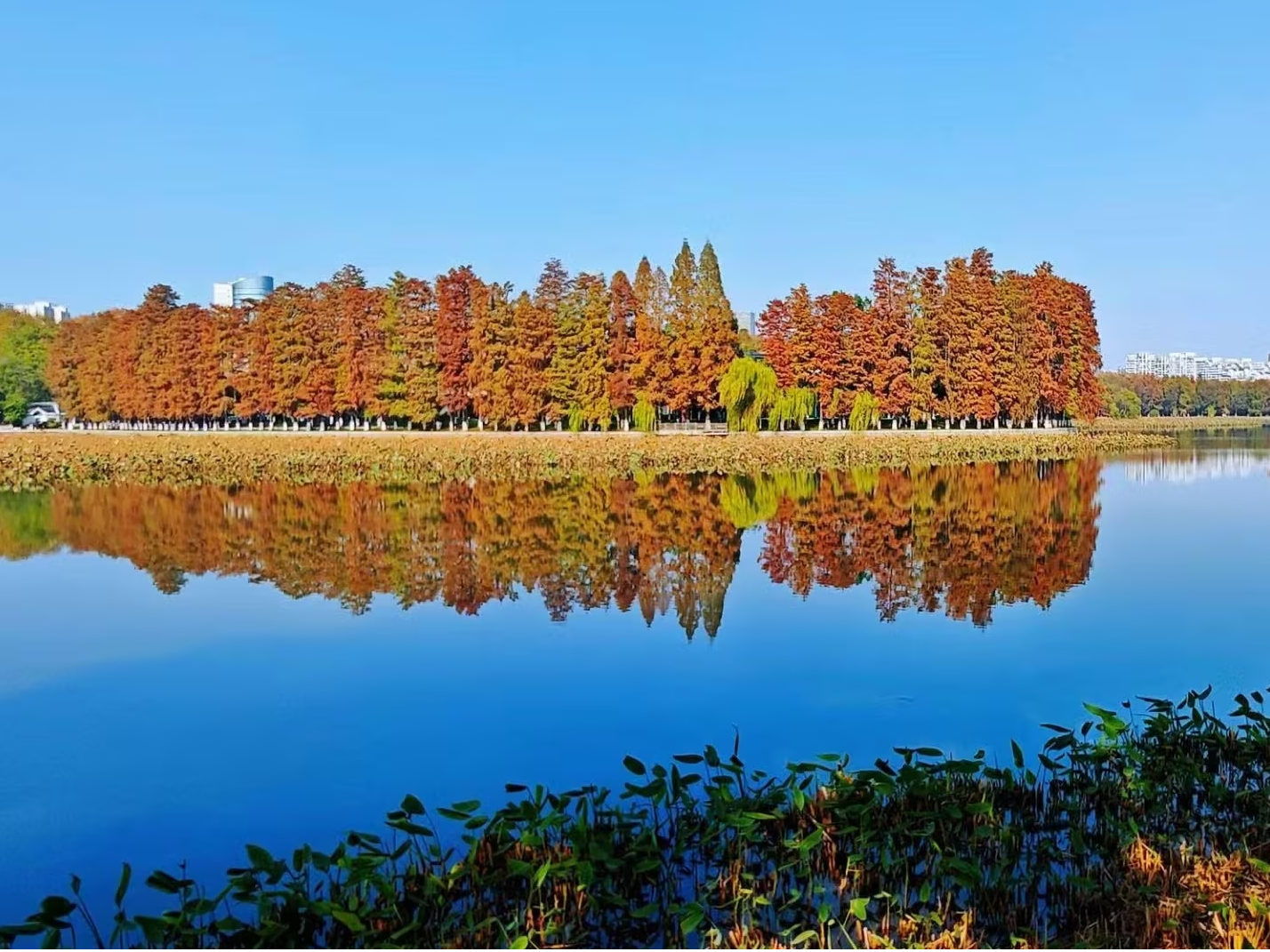 我爱摄影134_这个山就巡到这了-站酷ZCOOL