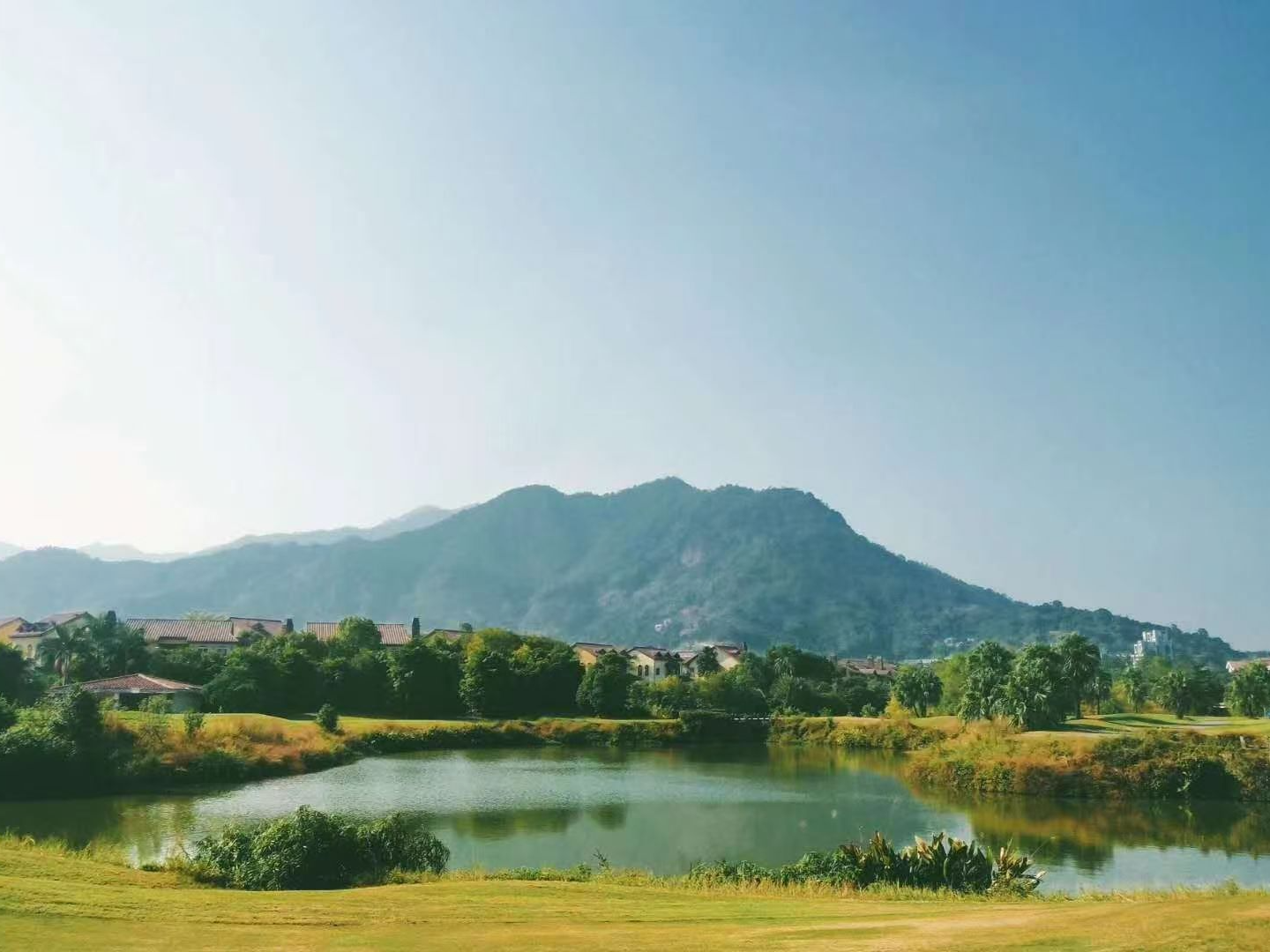 球场_xfengfeng-站酷ZCOOL