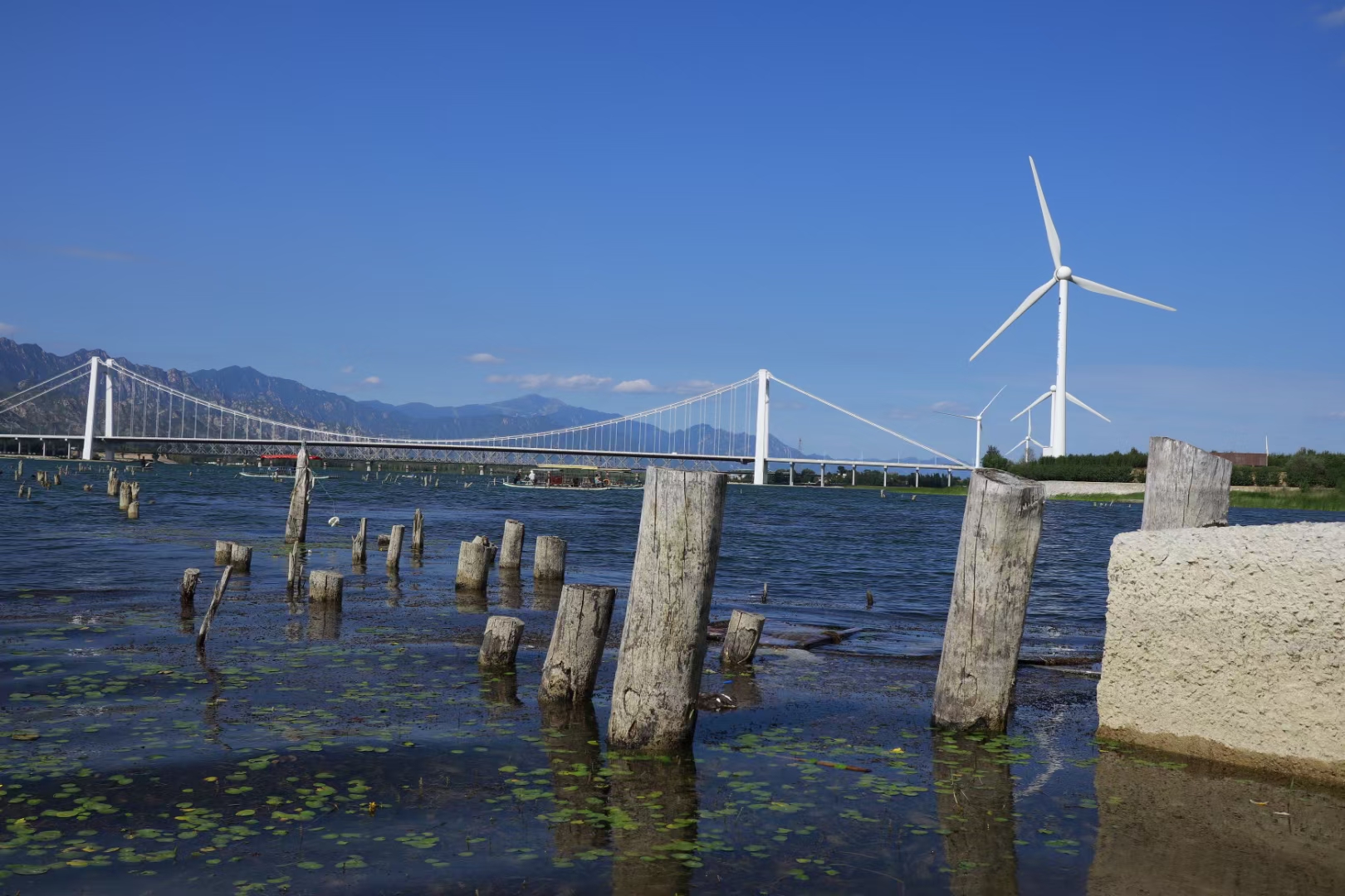 水面木头_闫呀呀-站酷ZCOOL