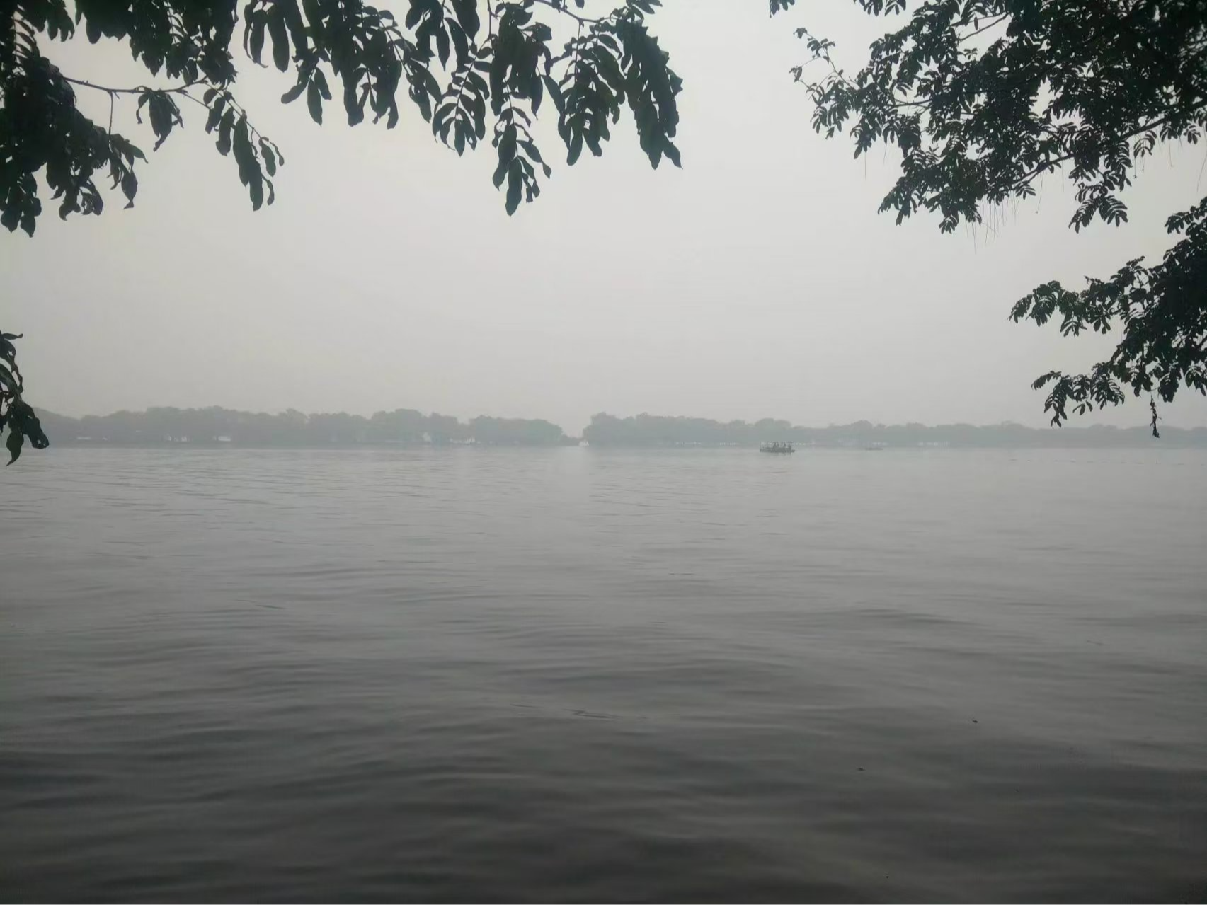 🌫️🌊【静谧之湖，忧郁之美】🌊🌫️_ZhMao-站酷ZCOOL