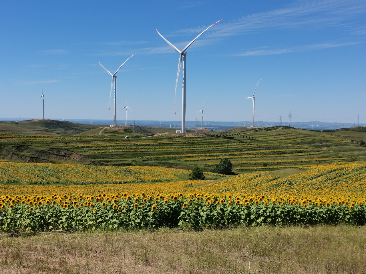 手机摄影-风景1_cucu_J-站酷ZCOOL