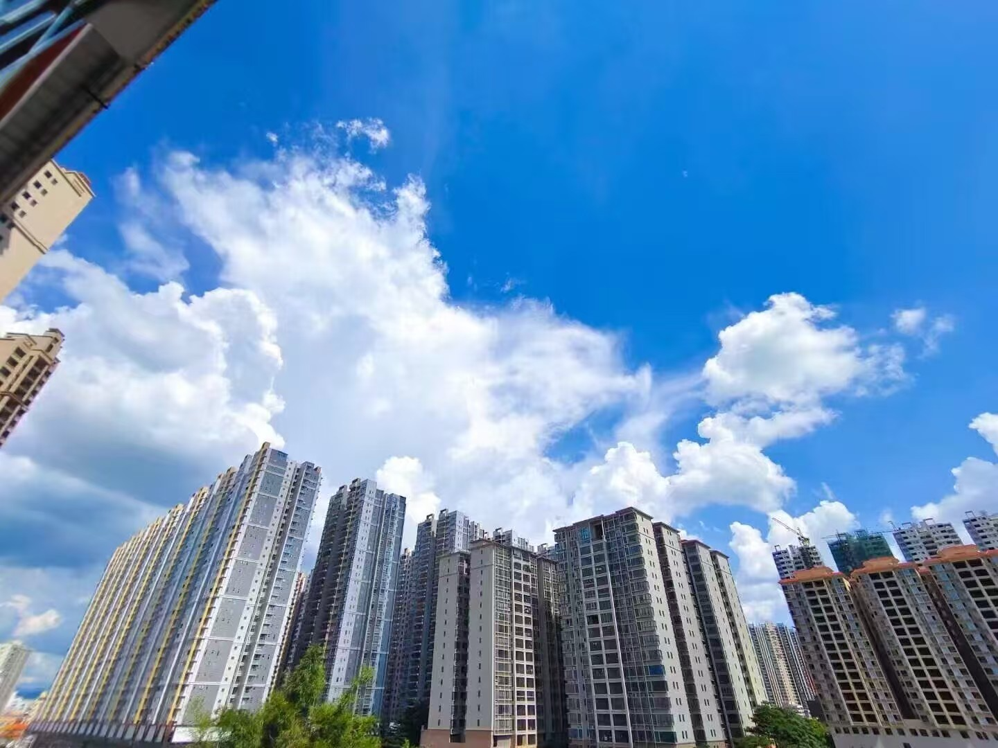 随拍14_Z445293869-站酷ZCOOL