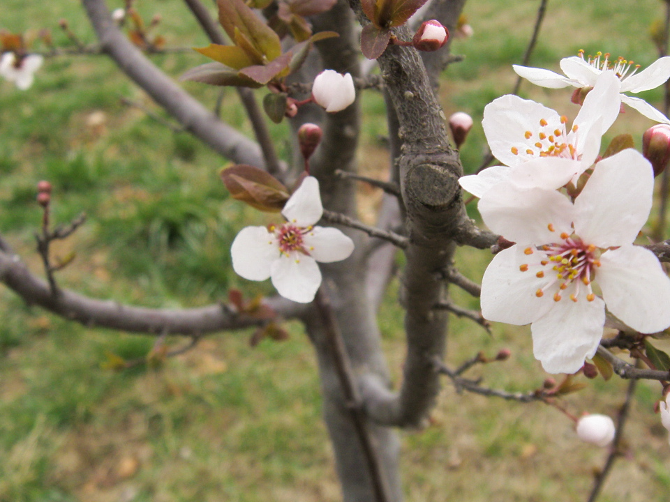 摄影单品15_画图的小驴-站酷ZCOOL