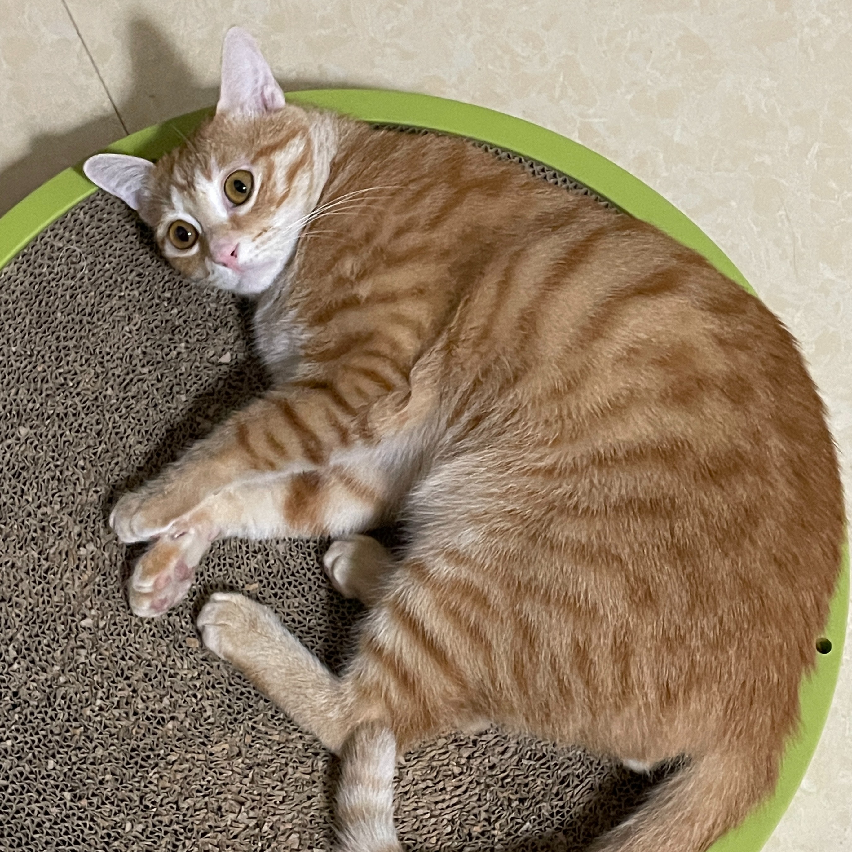 aaaaa小黄0214创作者主页_南宁学生-站酷ZCOOL