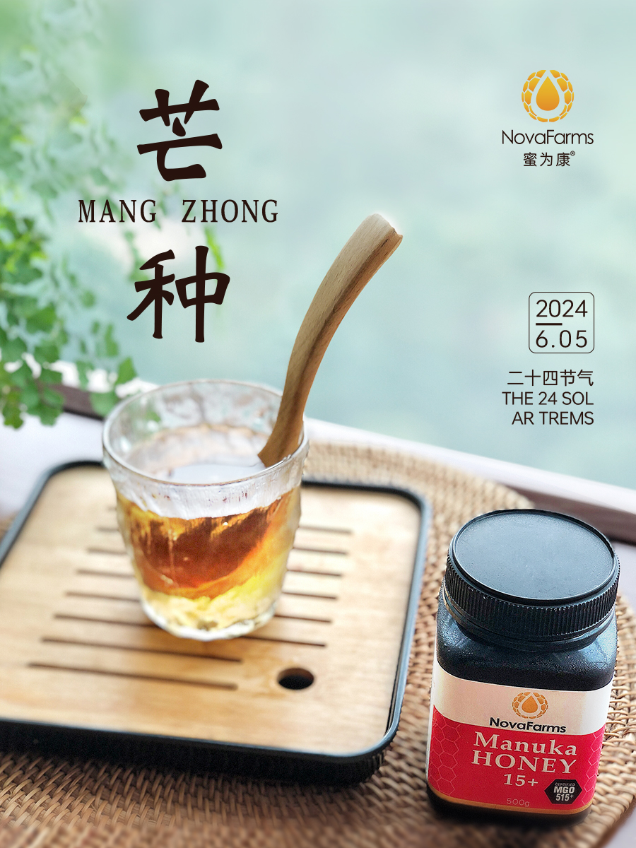 一组节气节日宣传海报_yulu1988-站酷ZCOOL