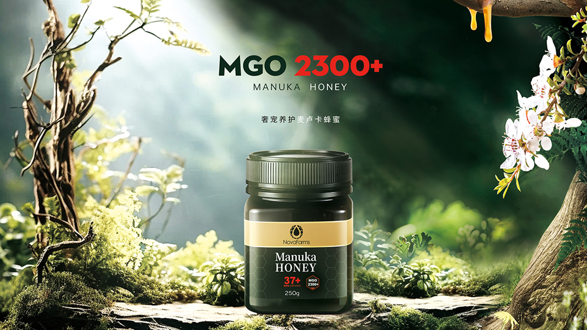 合成创意图-1_yulu1988-站酷ZCOOL