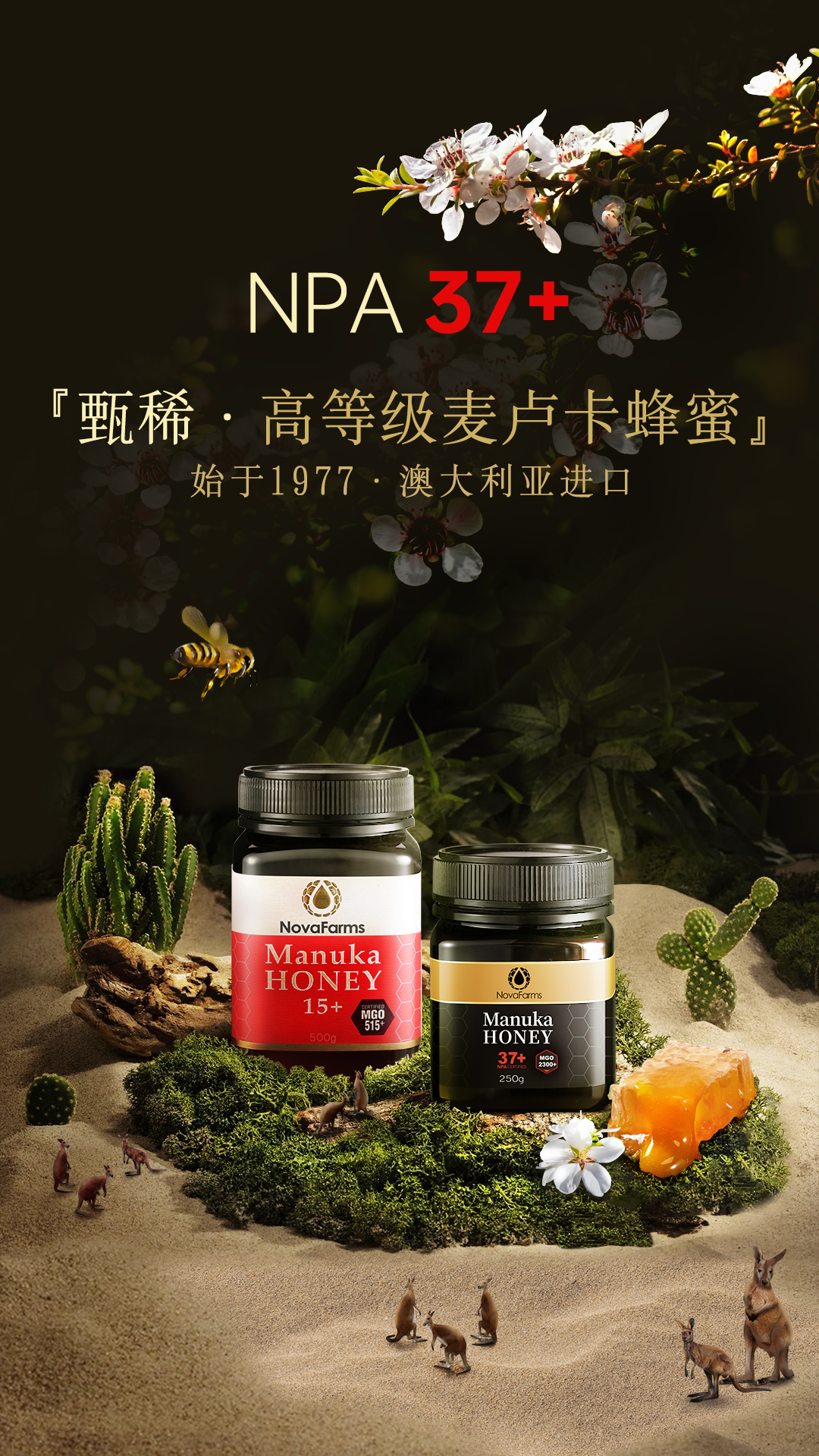 合成创意图-2_yulu1988-站酷ZCOOL