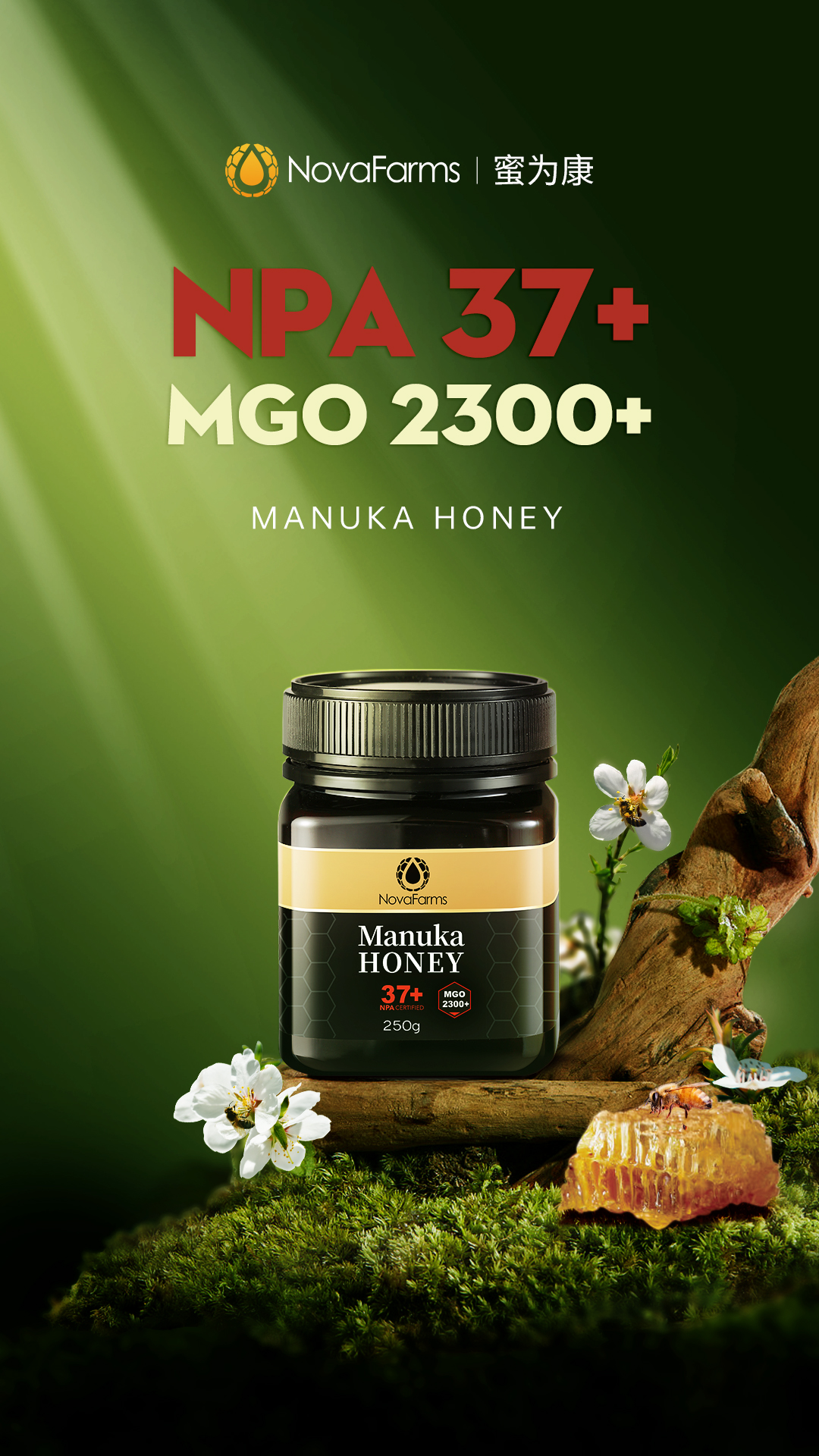 合成创意图-3_yulu1988-站酷ZCOOL