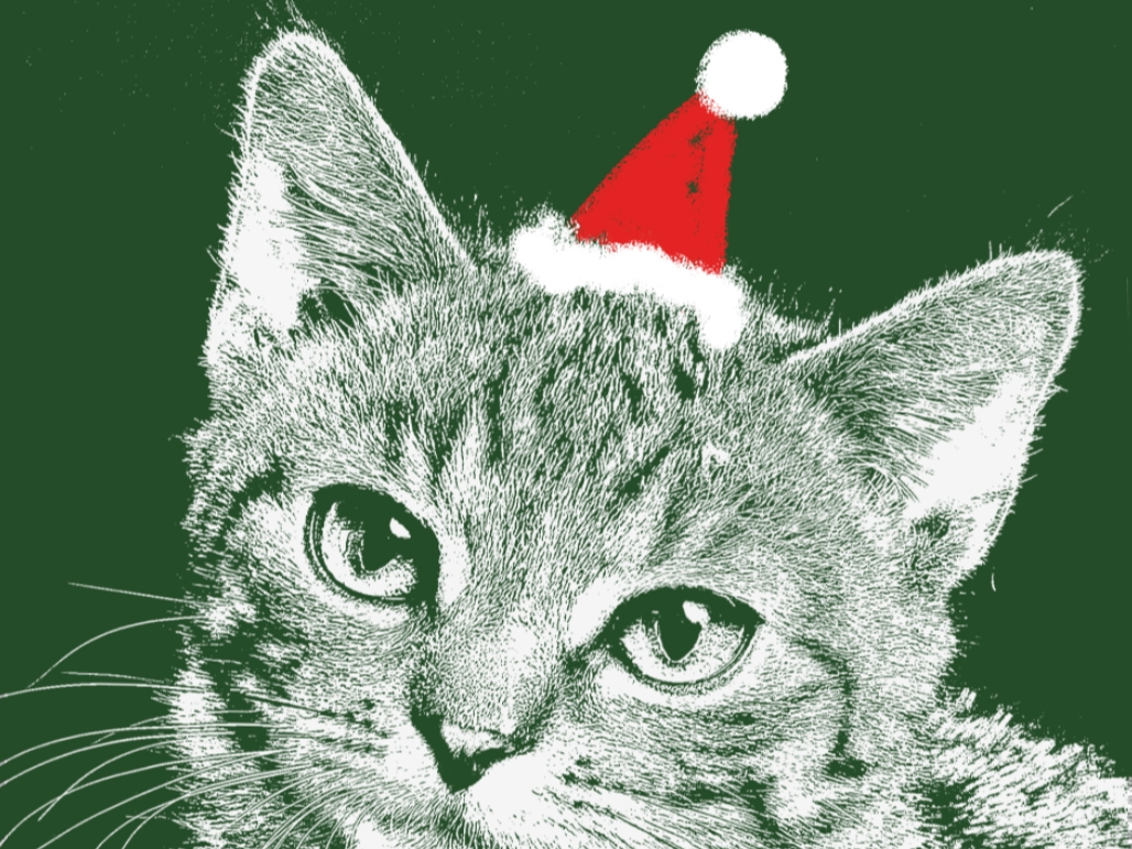 苹果吃多后遗症_冰滴续命的Iris-站酷ZCOOL