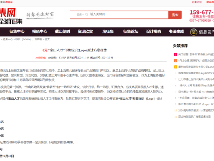 宝山人才logo_期许也在-站酷ZCOOL