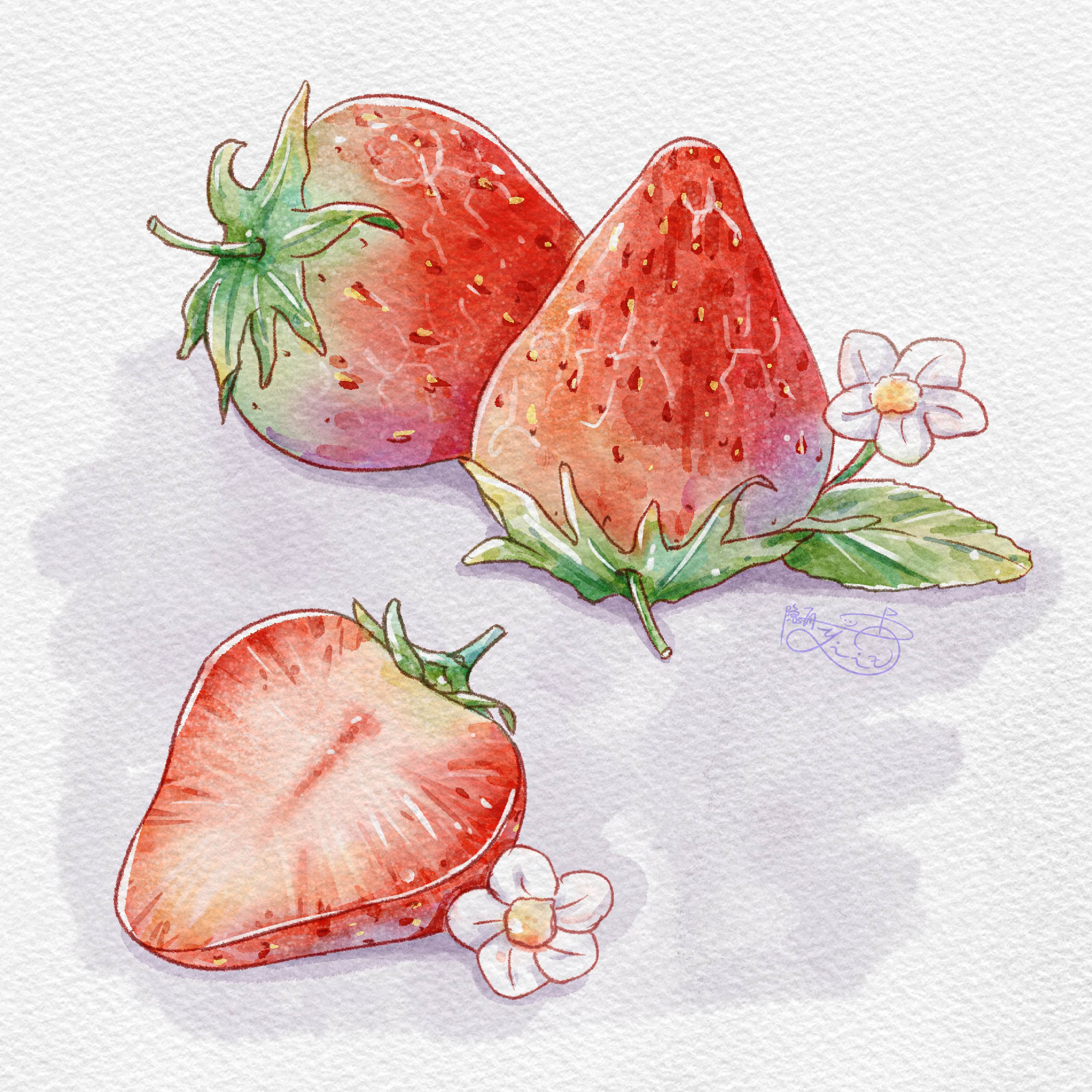水彩草莓_隐舟YiiZ-站酷ZCOOL