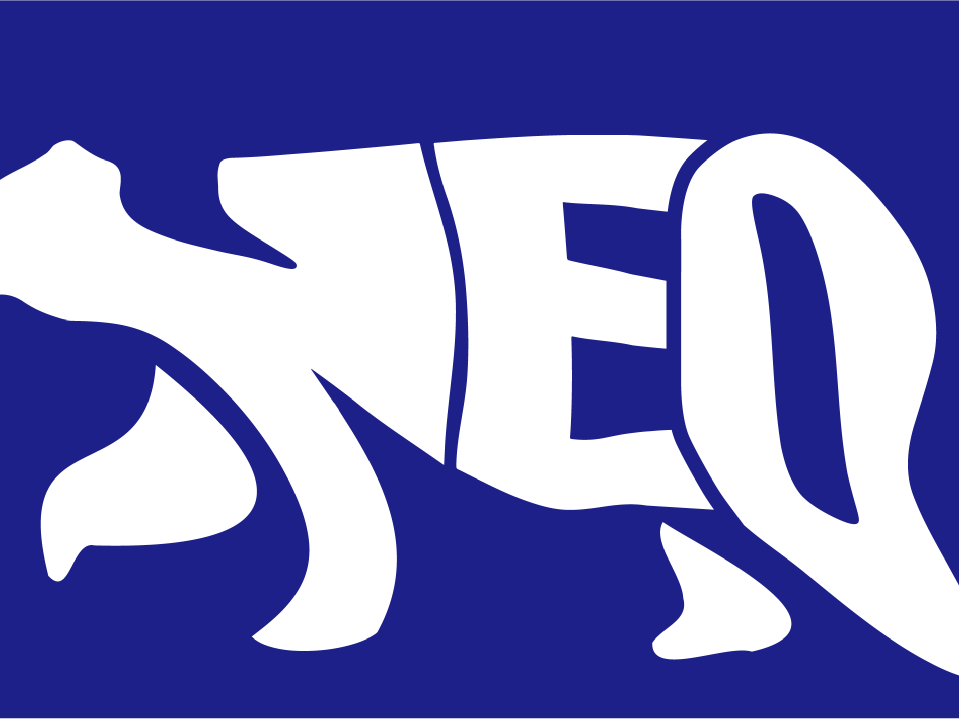 NEO户外用品VI手册_BULEBULEBULEBULE-站酷ZCOOL