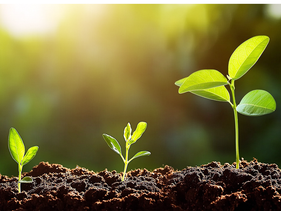 春天的气息发芽_恺哥666-站酷ZCOOL