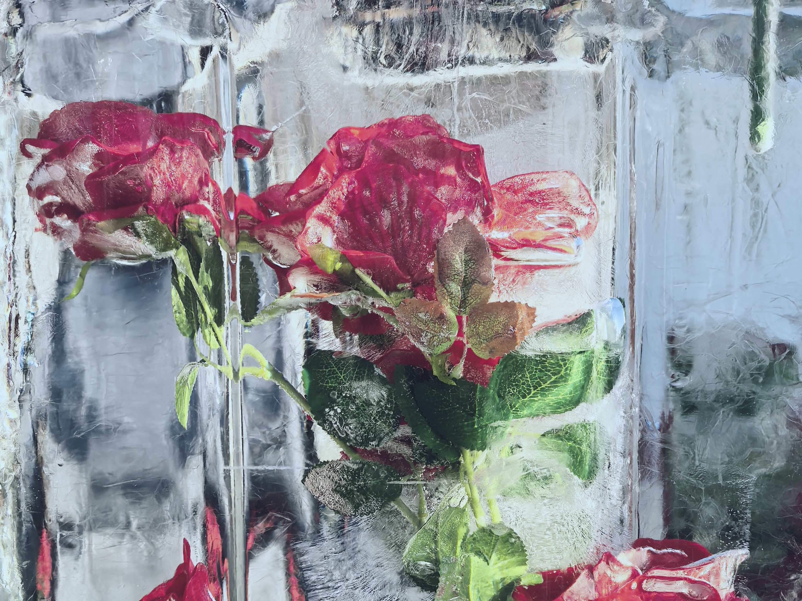 长春是懂浪漫的_孙大猫叔叔-站酷ZCOOL