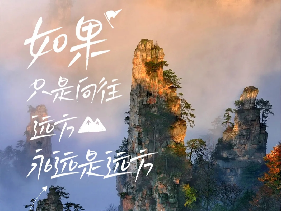 张家界国家森林公园官方VIP-界游 × 金与彦_金与彥设计机构-站酷ZCOOL