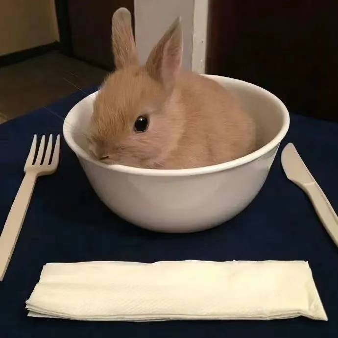 小智AA创作者主页_上饶产品设计师-站酷ZCOOL