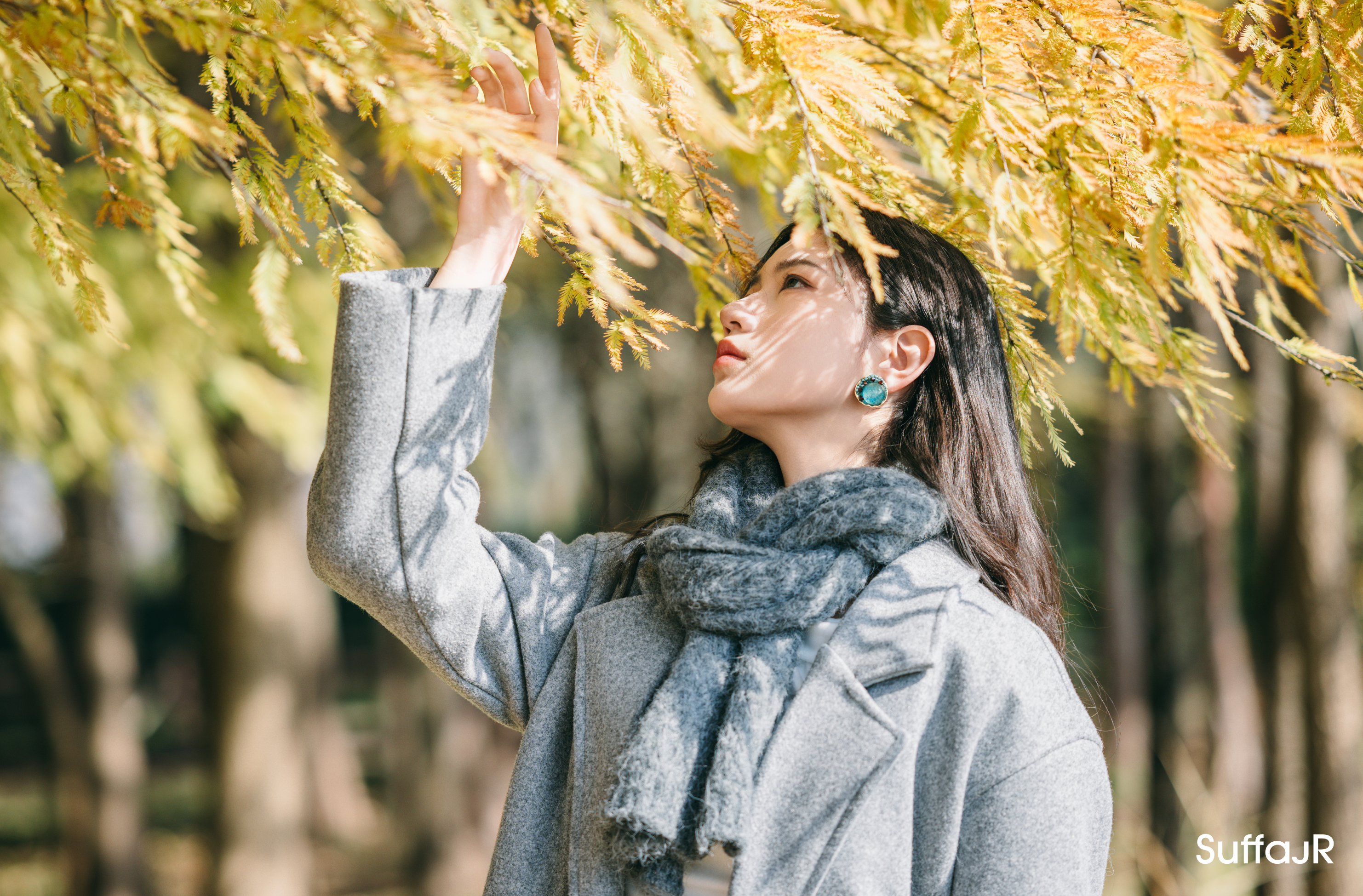 虎丘冬日2_朱尼尔沙发SUFFA-站酷ZCOOL