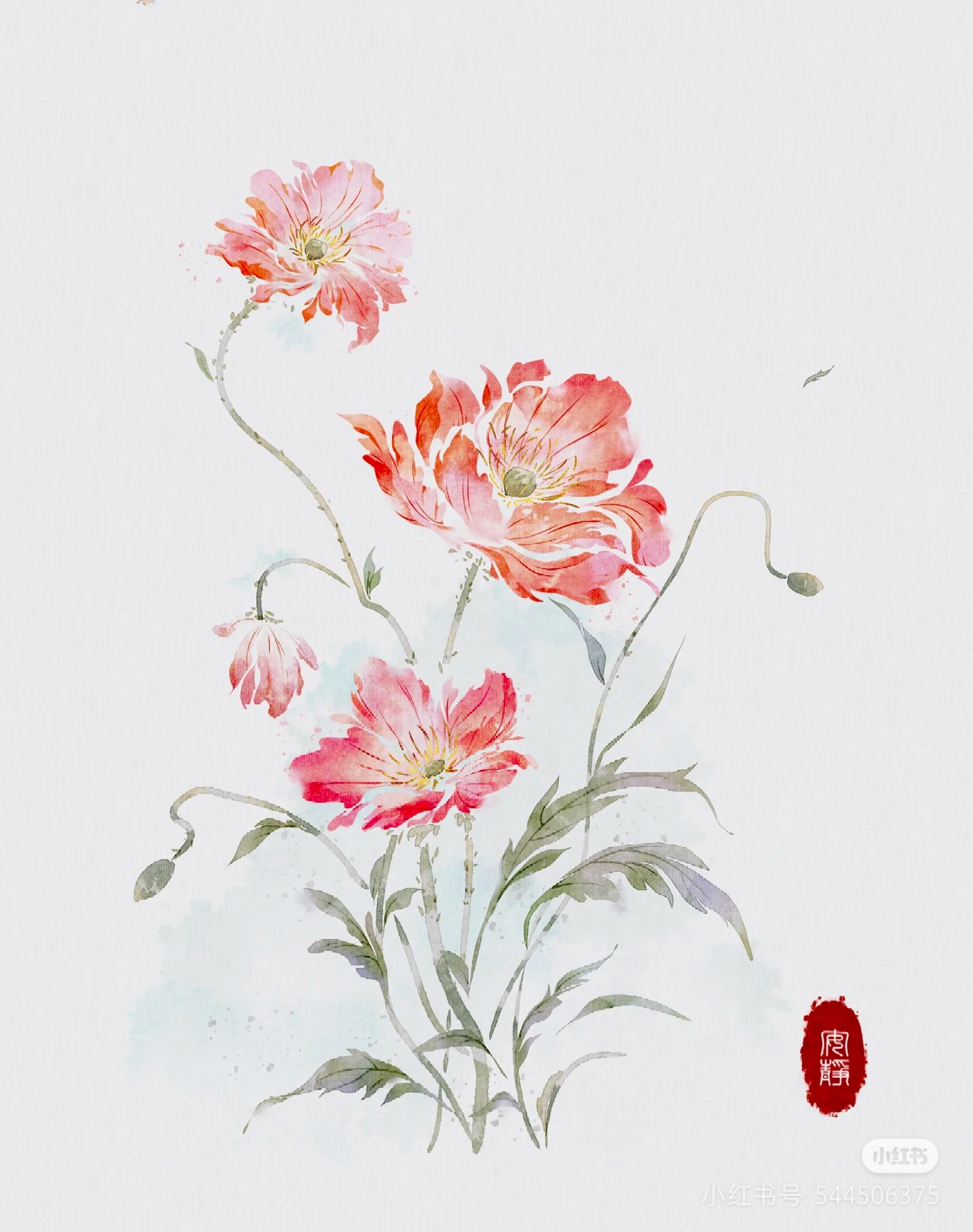 没骨画虞美人_一直很安静0221-站酷ZCOOL