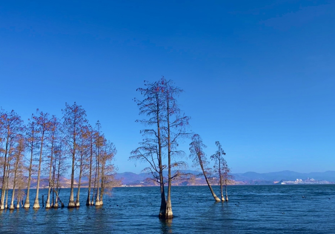 摄像作品集展示_Z916990858-站酷ZCOOL